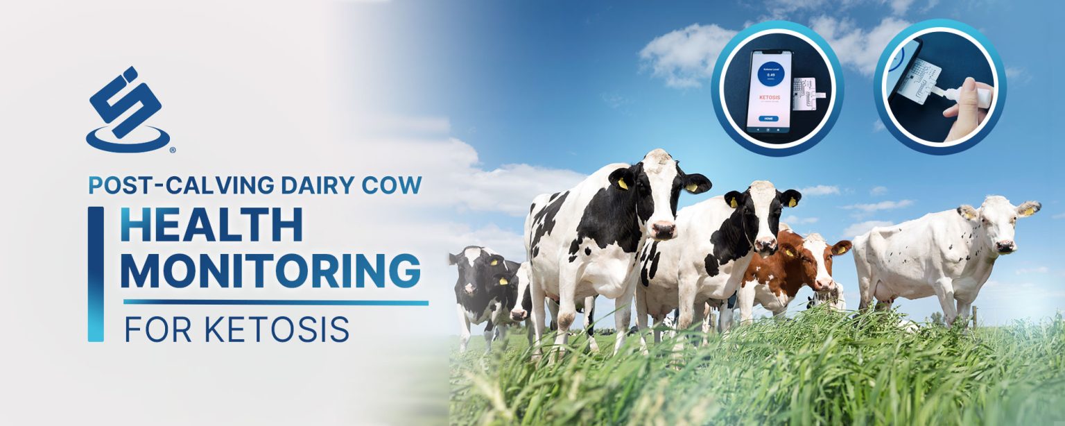 Blog - Silicon Craft Technology PLC